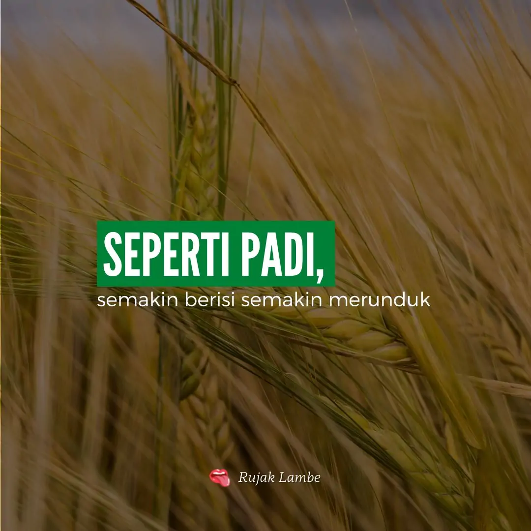 Menggali Makna Tawaduk dalam Pendidikan: Belajar dari Filosofi Padi | Surau.co