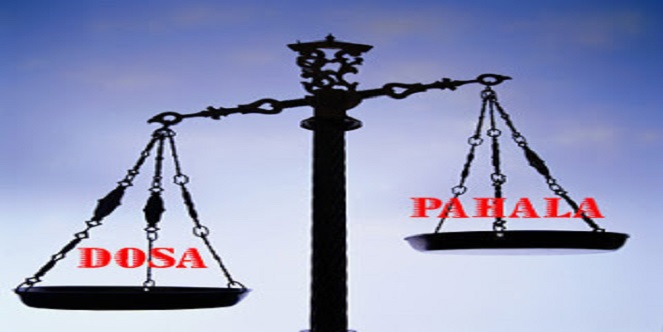 Ketika Amal Ditimbang: Bekal yang Tak Pernah Sia-Sia